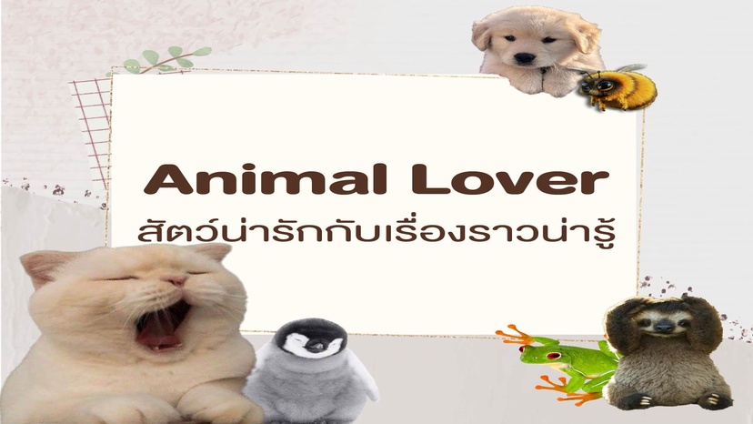 ALTV ช่อง 4 - Animal Lover
